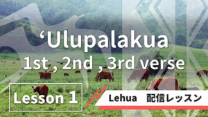 ‘Ulupalakua 1st / 2nd / 3rd verse - Hula-Me